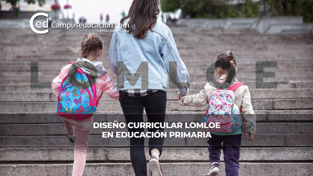 ¿Cómo elaborar la Programación Didáctica en Infantil y Primaria según ...